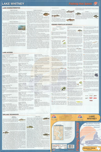 Lake Whitney Texas fishing map – Texas Map Store