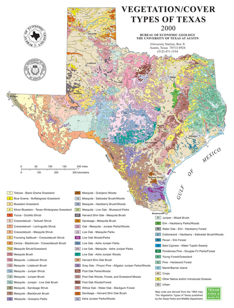 Vegetation Cover Types of Texas Poster – Texas Map Store